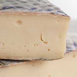 Saint Nectaire Tasting Notes | Gourmet Cheese of the Month Club